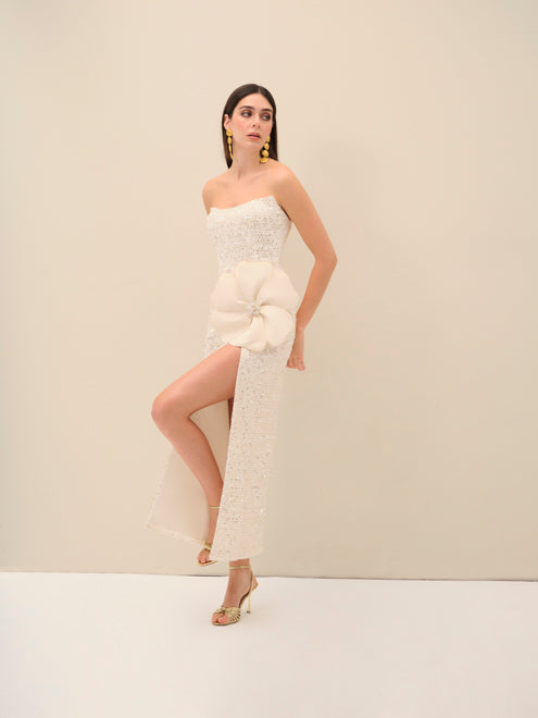 Starlight Symphony – Tuvanam